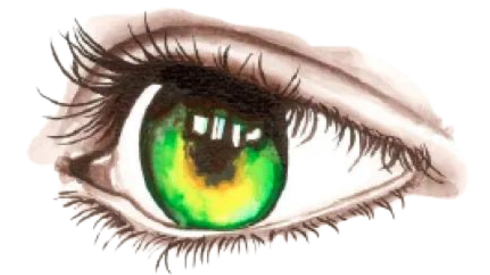 Sclera Markings - Holistic Eye